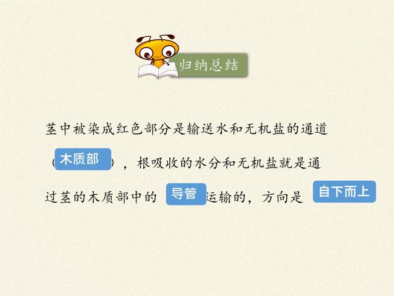 初中生物北师大版七年级上册第5节 运输作用教学演示课件ppt 教习网课件下载