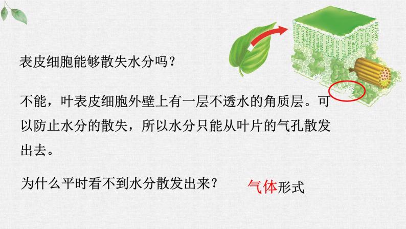 初中第4节 蒸腾作用备课课件ppt 教习网课件下载