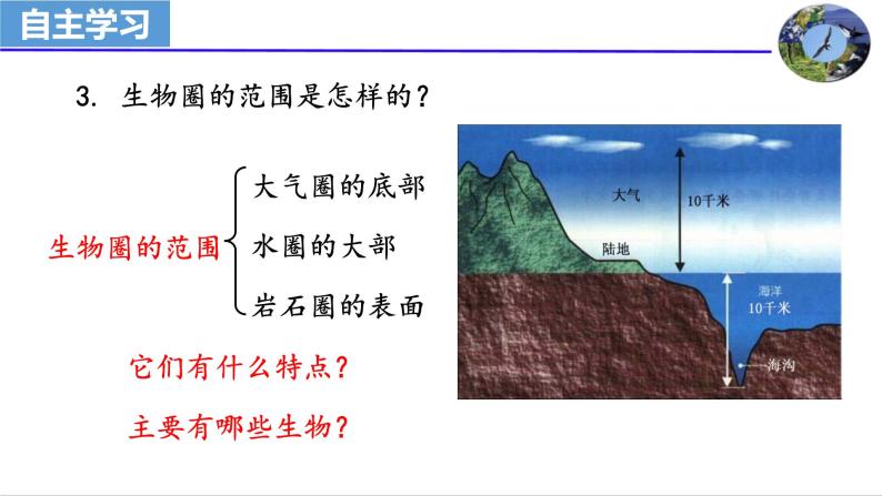 人教版 新课标七年级上册第三节 生物圈是最大的生态系统集体备课课件ppt 教习网课件下载