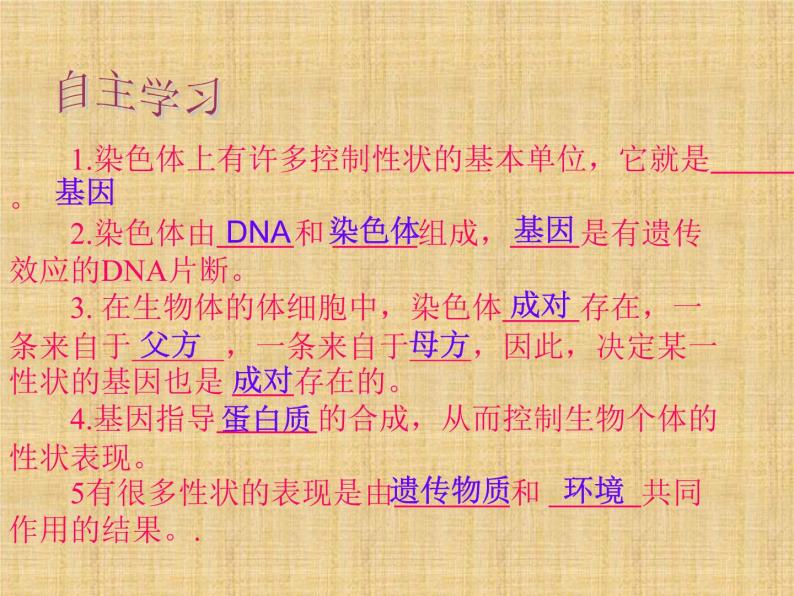 初中北师大版第2节 性状遗传的物质基础说课ppt课件 教习网课件下载