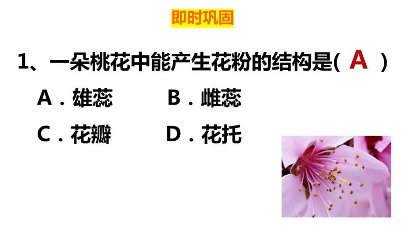 初中生物人教版 新课标七年级上册第三节 开花和结果授课ppt课件 教习网课件下载