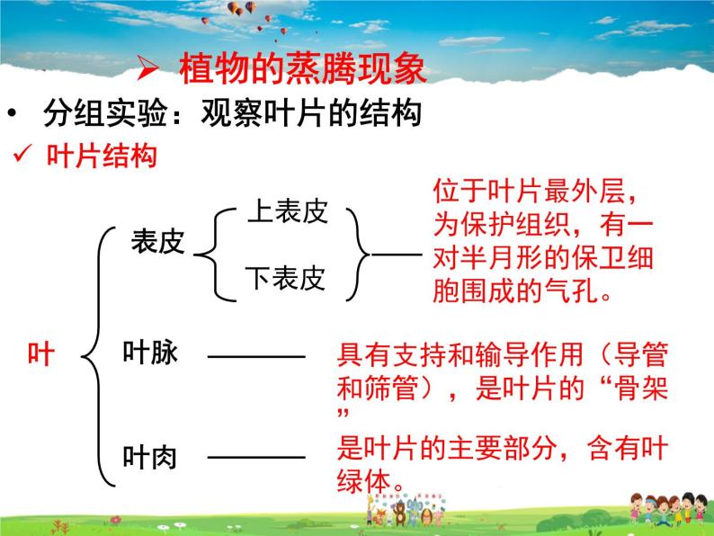 初中生物第二单元 多彩的生物世界第一章 生物圈中的绿色植物第二节 绿色植物的蒸腾作用授课ppt课件 教习网课件下载