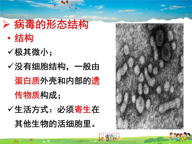 济南版七年级上册第一节 病毒授课课件ppt 教习网课件下载
