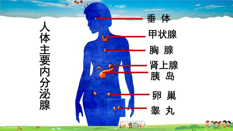 生物七年级下册第四节 激素调节教学演示ppt课件 教习网课件下载
