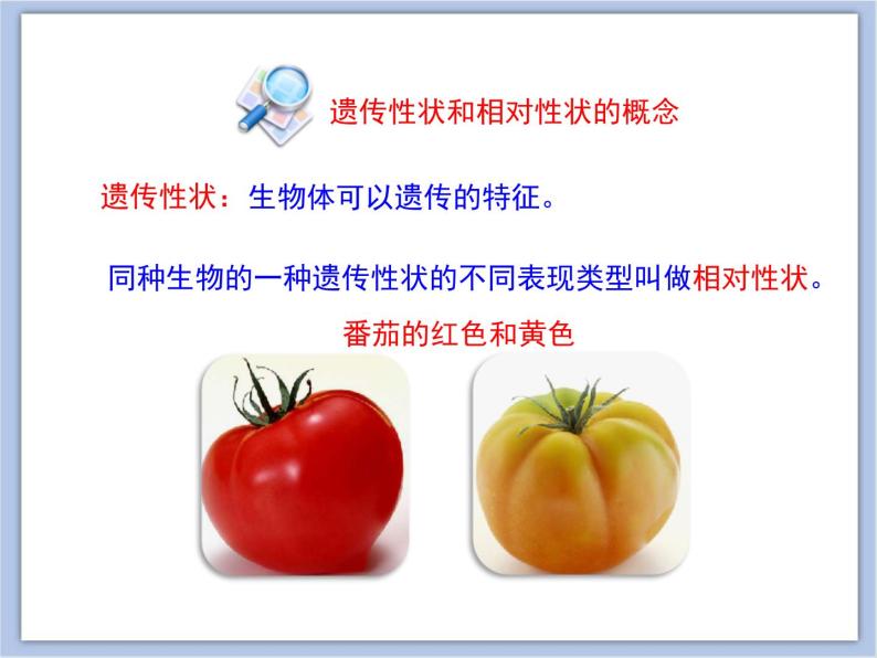 苏教版八年级下册第二节 人的性状和遗传说课ppt课件 教习网课件下载