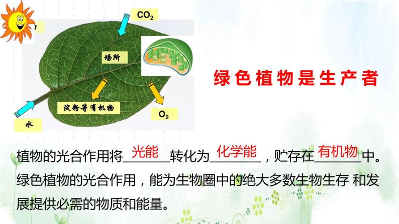 初中生物北师大版七年级上册第1节 绿色植物在生物圈中的作用教学演示课件ppt 教习网课件下载