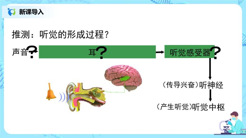 人教版 新课标七年级下册第一节 人体对外界环境的感知获奖ppt课件 教习网课件下载