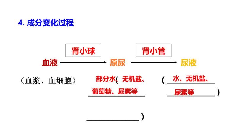 生物北师大版第11章 人体代谢废物的排出综合与测试一等奖复习课件ppt 教习网课件下载