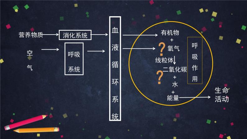 人教版(新课标)七年级生物下册:第四单元《生物圈中的人》专题复习(人体的呼吸与排泄) 课件教案练习 教习网课件下载