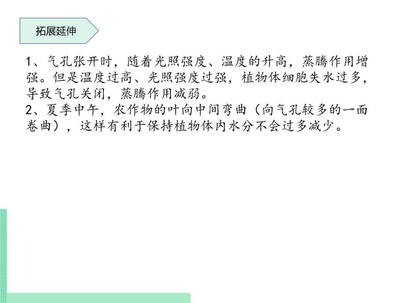 绿色植物的蒸腾作用ppt课件免费下载 教习网课件下载