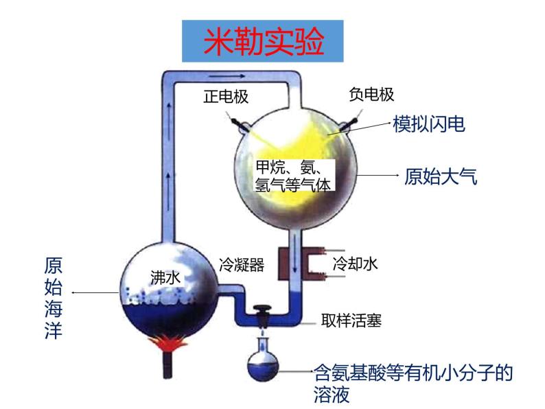 人教版 新课标八年级下册第一节 地球上生命的起源集体备课ppt课件 教习网课件下载
