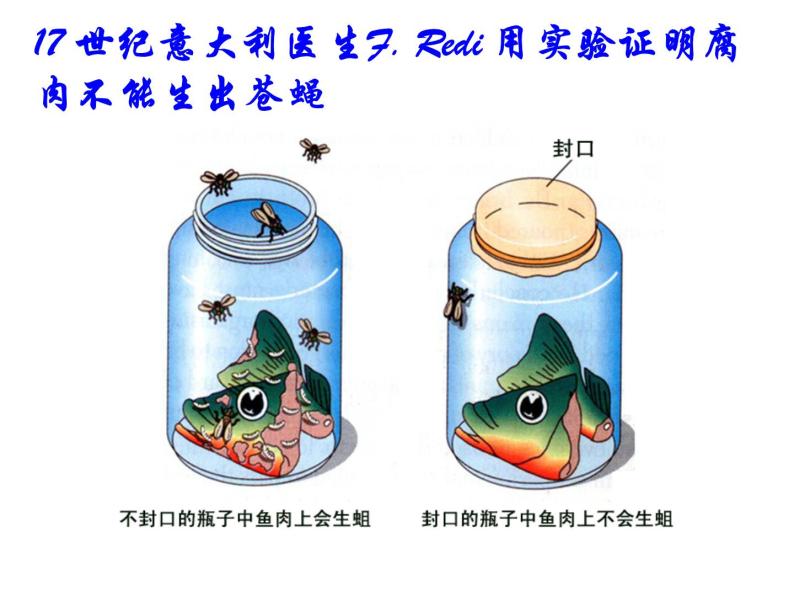 初中生物人教版 新课标八年级下册第七单元 生物圈中生命的延续和发展第三章 生命起源和生物进化第一节 地球上生命的起源图片课件ppt 教习网