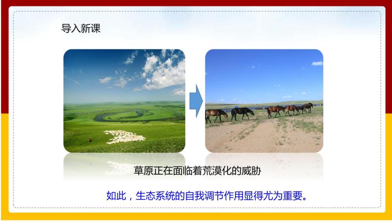 初中第五节 生态系统的自我调节教课内容ppt课件 教习网课件下载