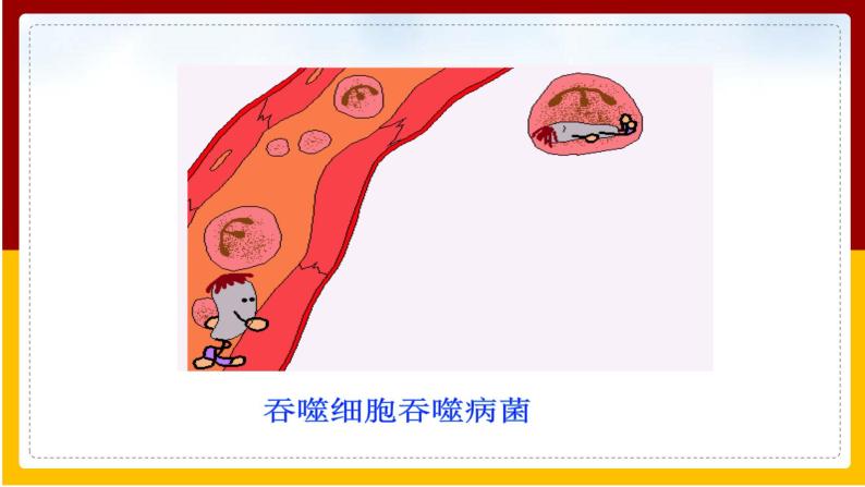 2021学年第一节 人体的免疫功能备课课件ppt 教习网课件下载