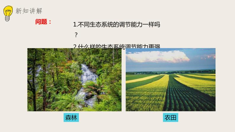初中生物北师大版八年级下册第4节 生态系统的稳定性集体备课课件ppt 教习网课件下载