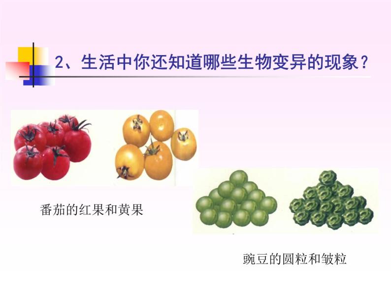初中人教版 新课标第五节 生物的变异评课课件ppt 教习网课件下载