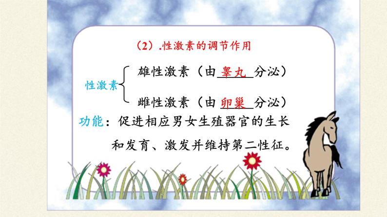 生物北师大版第3节 激素调节课文配套ppt课件 教习网课件下载