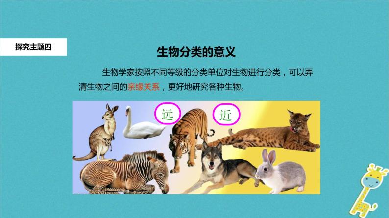 初中生物人教版 新课标八年级上册第二节 从种到界备课ppt课件 教习网课件下载
