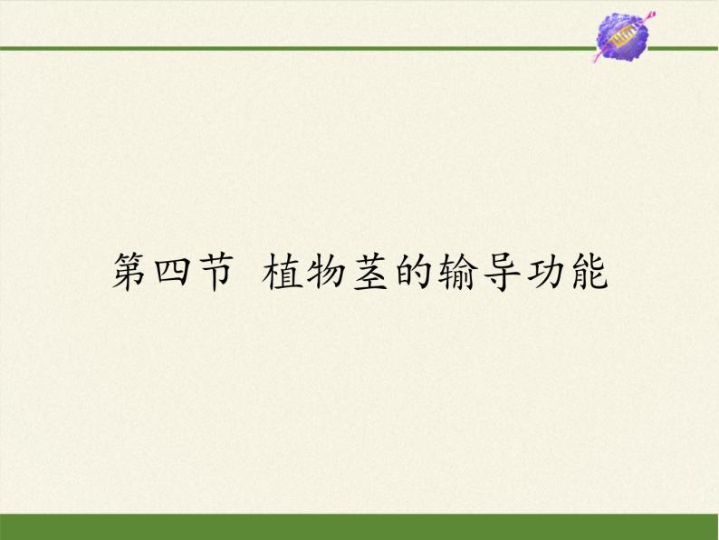 初中生物苏教版七年级上册第四节 植物茎的输导功能课堂教学课件ppt 教习网课件下载