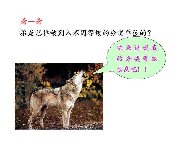 生物八年级上册第二节 从种到界授课课件ppt 教习网课件下载
