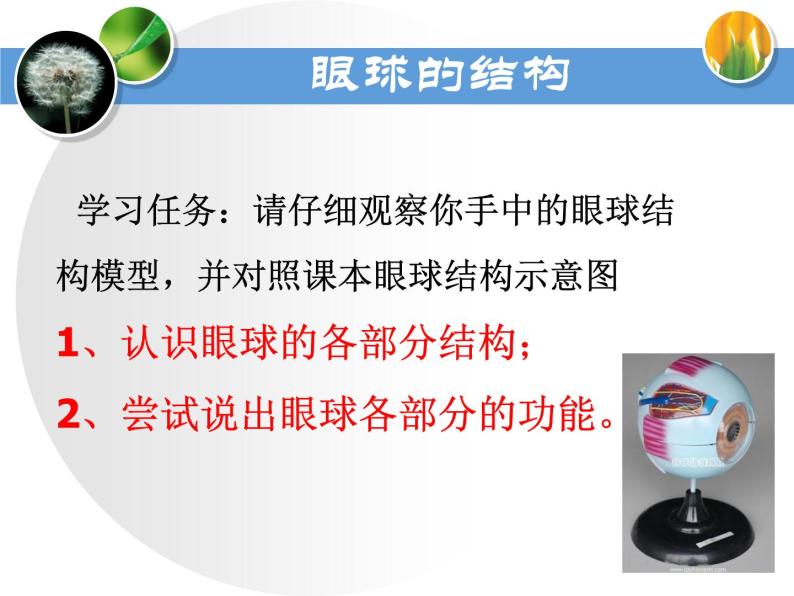 初中生物人教版 新课标七年级下册第一节 人体对外界环境的感知说课ppt课件 教习网课件下载