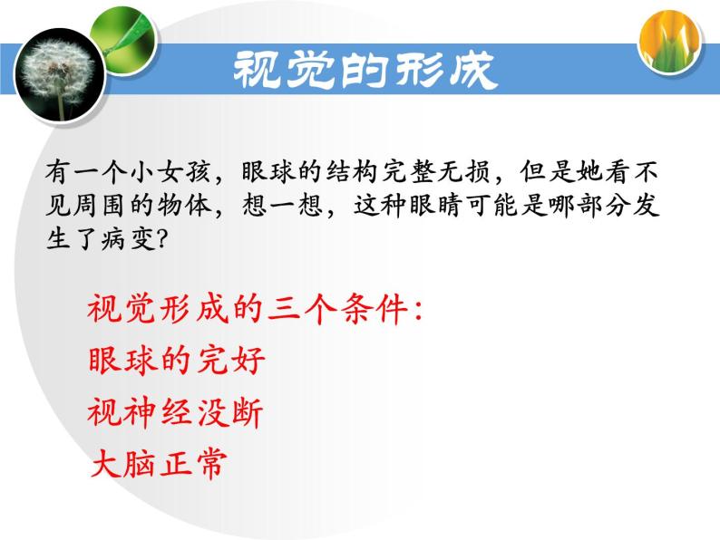 初中生物人教版 新课标七年级下册第一节 人体对外界环境的感知说课ppt课件 教习网课件下载