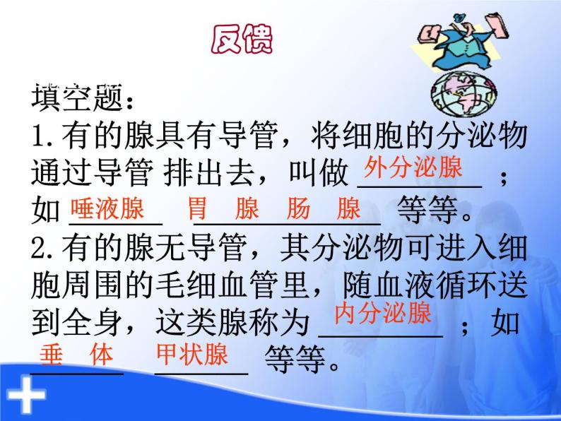 初中生物人教版 新课标七年级下册第四节 激素调节教课内容ppt课件 教习网课件下载