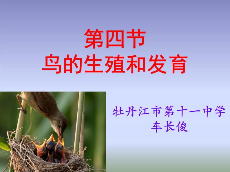 2020 2021学年第四节 鸟的生殖和发育说课课件ppt 教习网课件下载