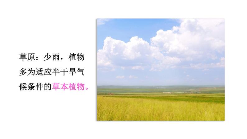 人教版 新课标七年级上册第三单元 生物圈中的绿色植物第六章 爱护植被,绿化祖国教学ppt课件 教习网课件下载