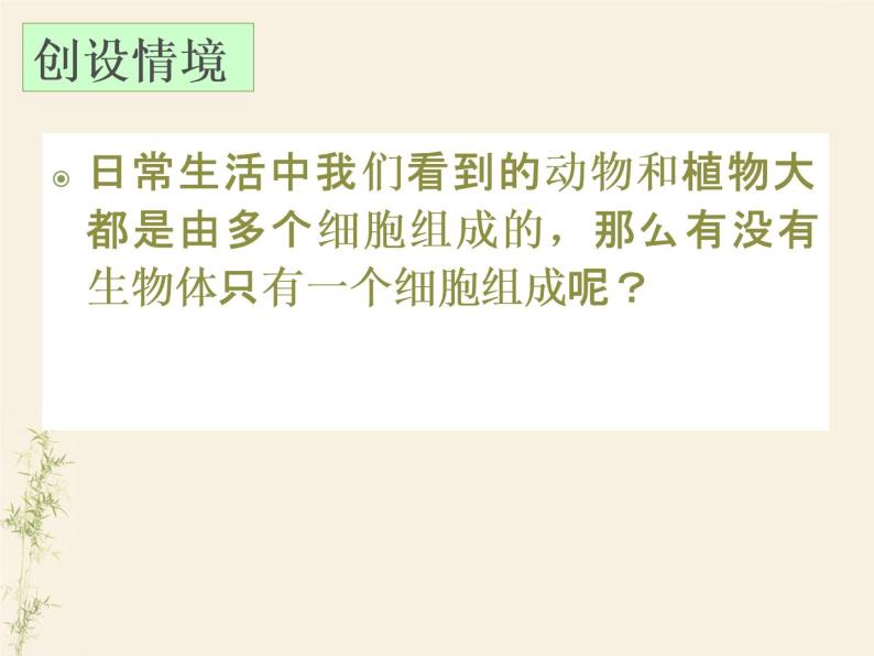 初中生物人教版 新课标七年级上册第四节 单细胞生物课文内容ppt课件 教习网课件下载