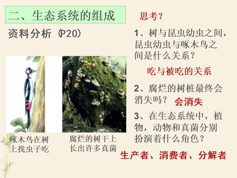 初中生物人教版 新课标七年级上册第一单元 生物和生物圈第二章 了解生物圈第二节 生物与环境组成生态系统教课ppt课件 教习网课件下载