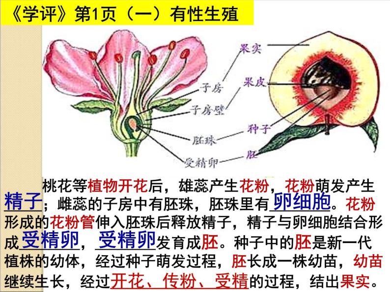 生物八年级下册第一节 植物的生殖图文课件ppt 教习网课件下载