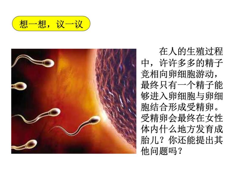 2020 2021学年第二节 人的生殖评课课件ppt 教习网课件下载