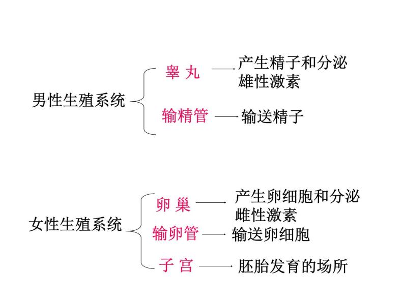 2020 2021学年第二节 人的生殖评课课件ppt 教习网课件下载