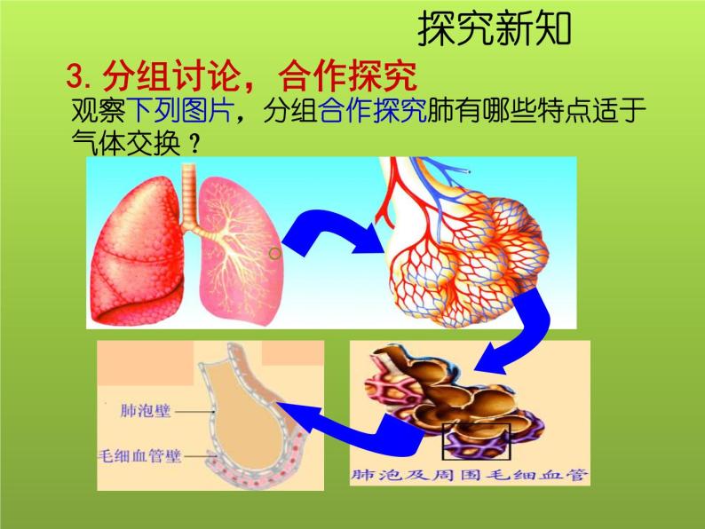 初中生物苏教版七年级下册第三节 人体和外界环境的气体交换评课课件ppt 教习网课件下载