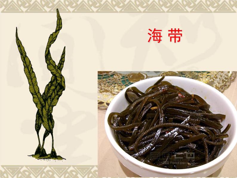 初中生物第一节 藻类植教课ppt课件 教习网课件下载