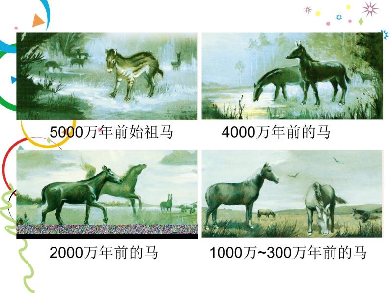 初中生物苏科版八年级下册第7单元 生命的延续与进化第23章 生物的进化第2节 生物进化的历程背景图课件ppt 教习网课件下载