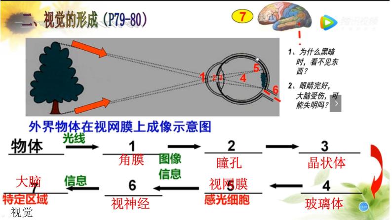 人教版 新课标七年级下册第一节 人体对外界环境的感知完美版习题ppt课件 教习网课件下载