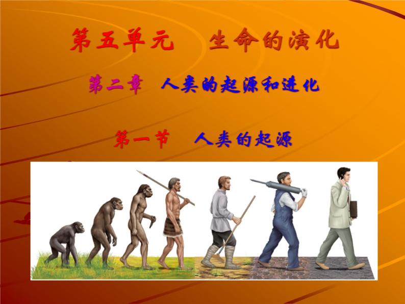 初中生物济南版八年级下册第一节 人类的起源教案配套课件ppt 教习网课件下载