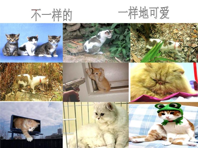 苏教版八年级下册第五节 生物的变异课文内容课件ppt 教习网课件下载