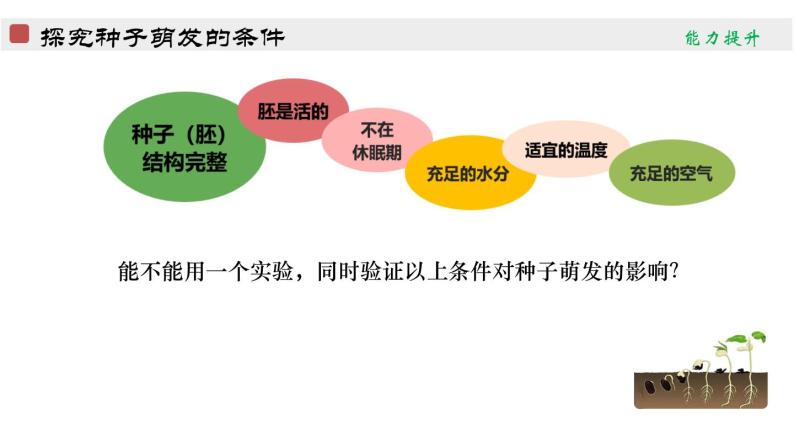 初中生物济南版八年级上册第四节 种子的萌发教案配套课件ppt 教习网课件下载
