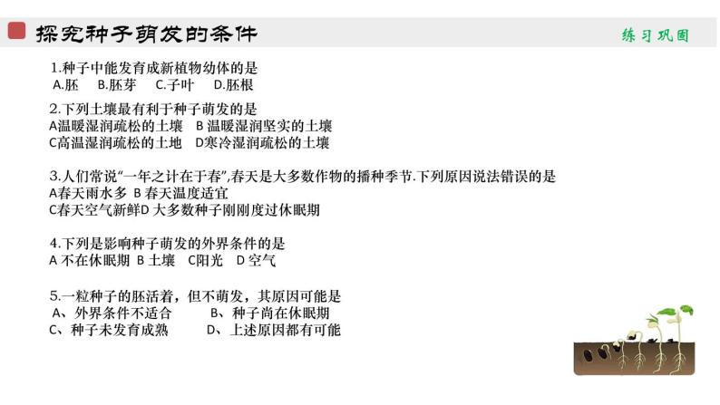 初中生物济南版八年级上册第四节 种子的萌发教案配套课件ppt 教习网课件下载