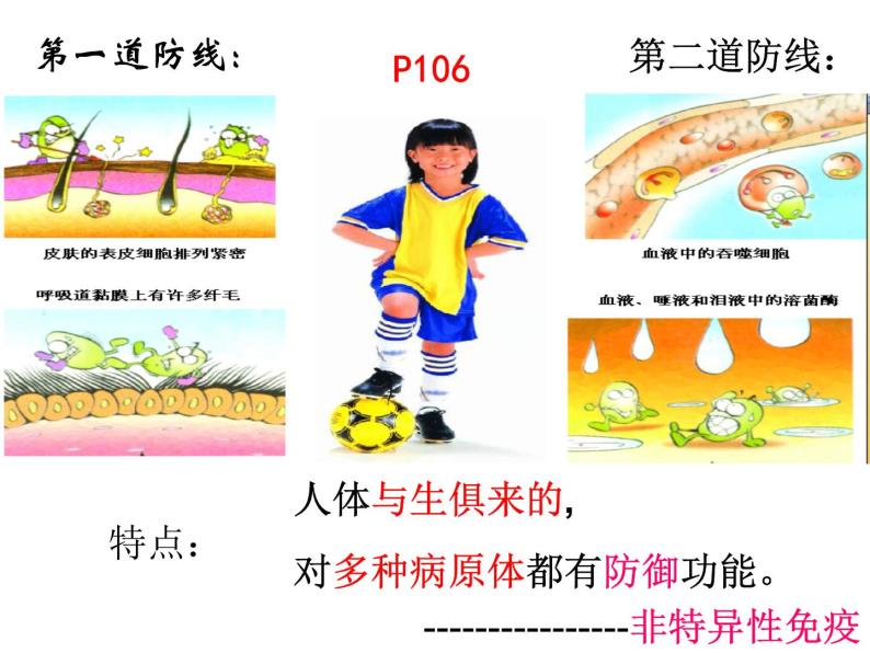 初中生物第一节 人体的免疫功能多媒体教学课件ppt 教习网课件下载