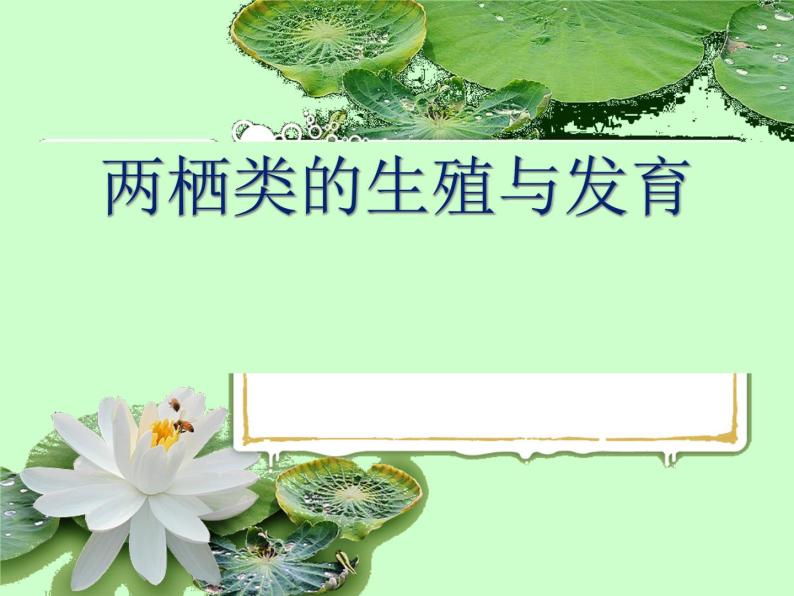 初中生物苏教版八年级下册第四节 两栖类的生殖与发育图文ppt课件 教习网课件下载
