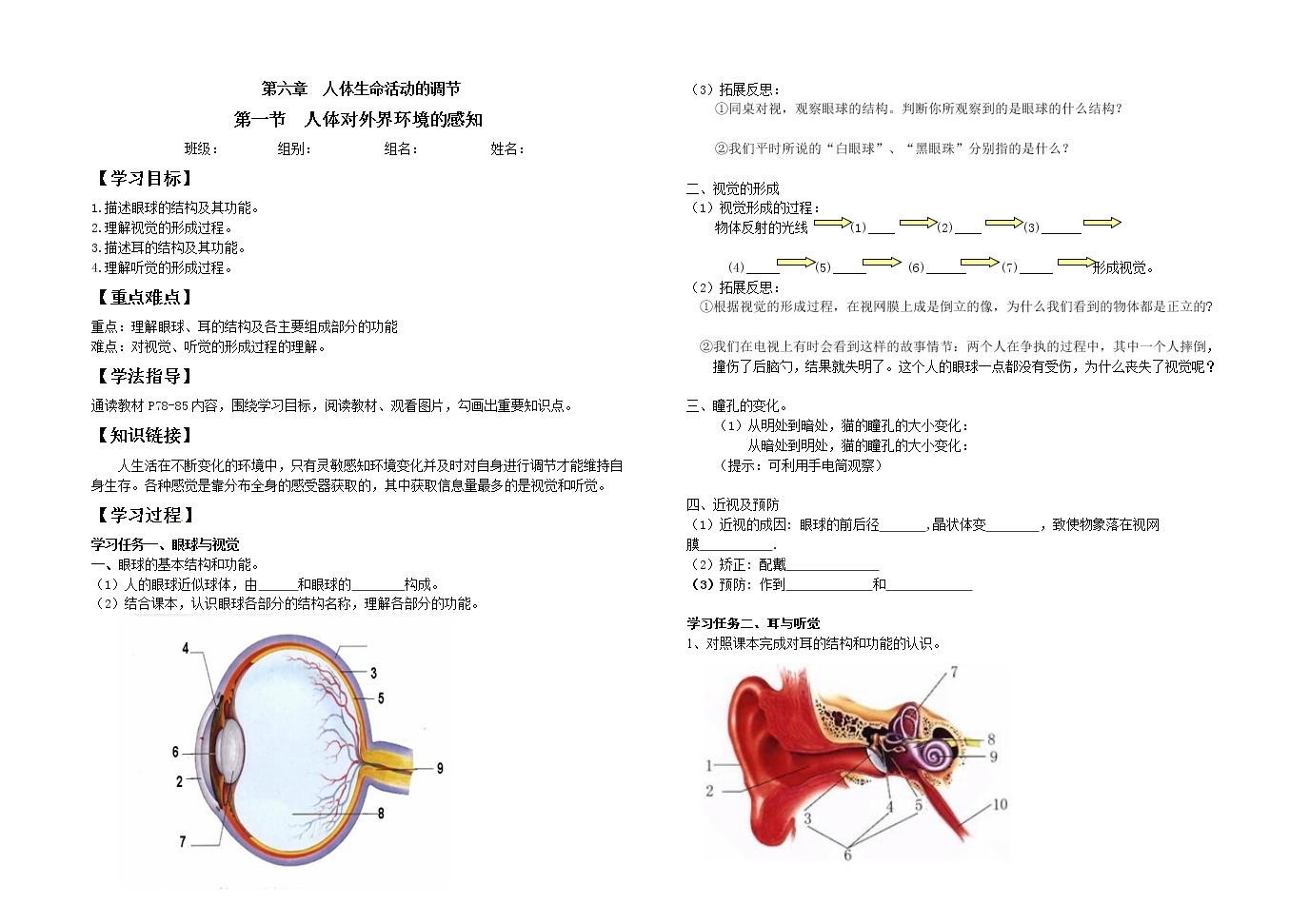 人教版 新课标七年级下册第四单元 生物圈中的人第六章 人体生命活动的调节第一节 人体对外界环境的感知导学案及答案 教习网学案下载