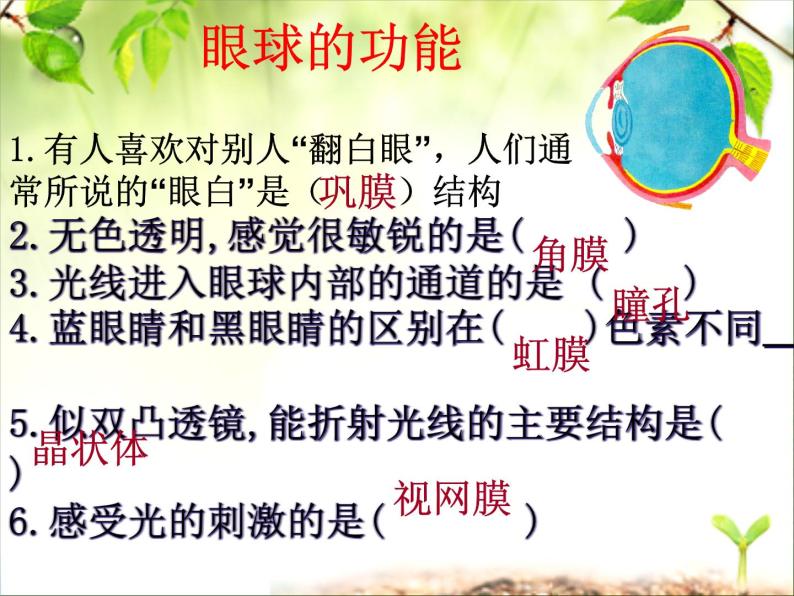 初中生物人教版 新课标七年级下册第一节 人体对外界环境的感知课文课件ppt 教习网课件下载