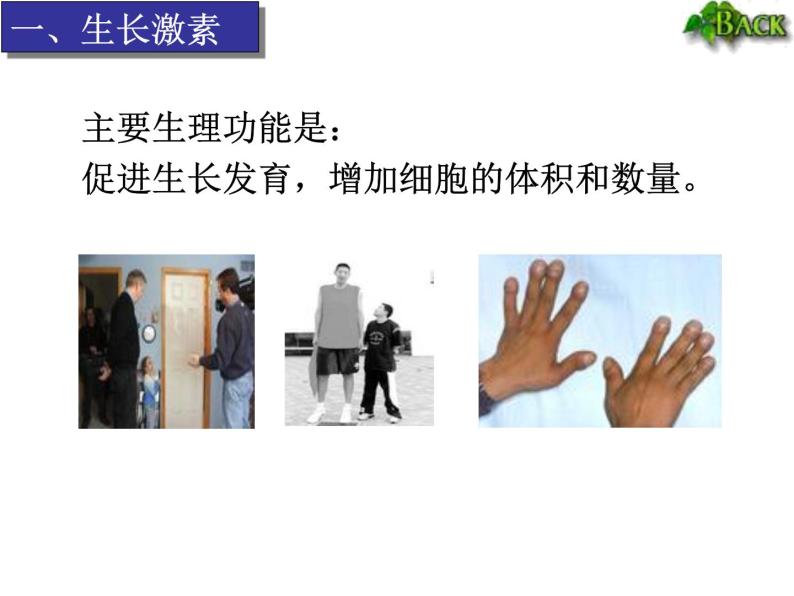初中生物济南版七年级下册第一节 人体的激素调节课文内容ppt课件 教习网课件下载