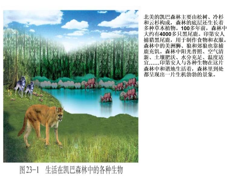 初中生物北师大版八年级下册第2节 生态系统概述评课ppt课件 教习网课件下载