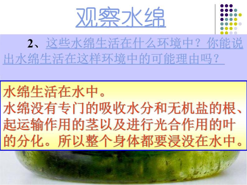 苏科版七年级下册第2节 水中的藻类植物备课课件ppt 教习网课件下载