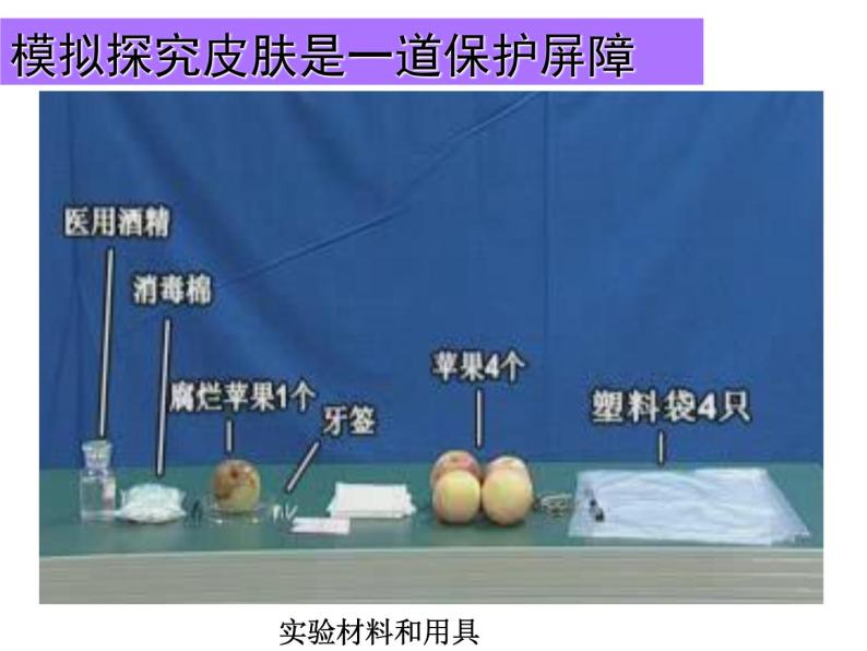 初中生物苏科版八年级下册第8单元 健康地生活第24章 人类对疾病的抵御第1节 人体的免疫防线备课ppt课件 教习网课件下载